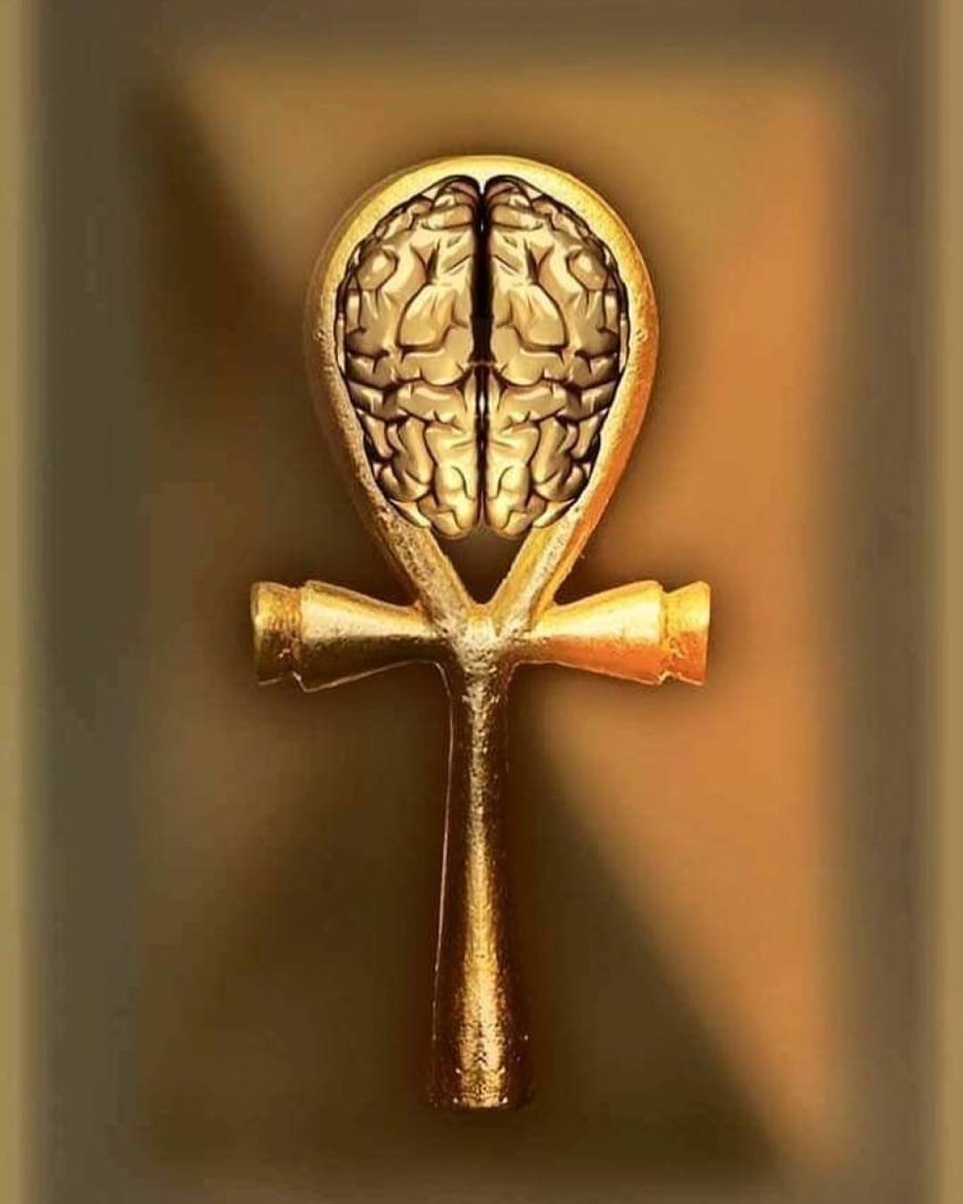brainankh | That Ankh Life
